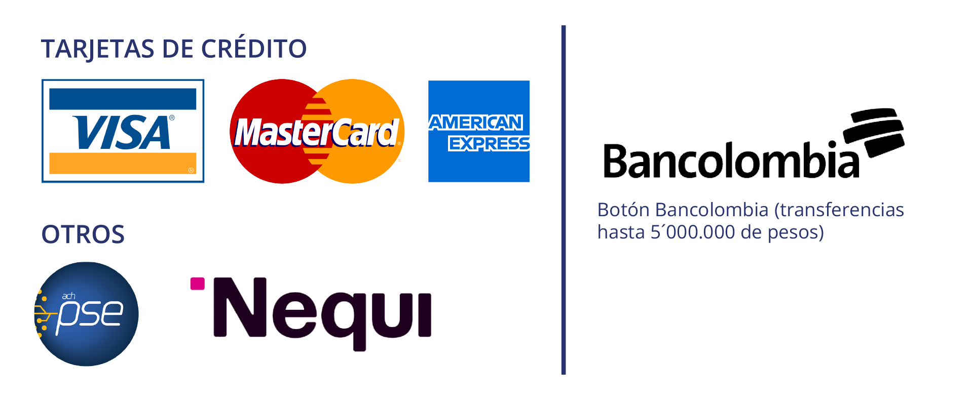 Pagos Datáfono Virtual - Balon Gastrico–Grupo de Obesidad Clinica ...